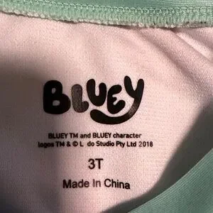 Bluey | Swim | Girls Swim Rash Guard With Bluey Print | Poshmark